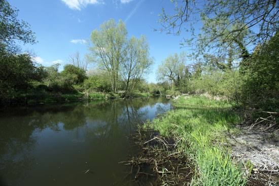 River Colne – ThorneyWeir the Mets